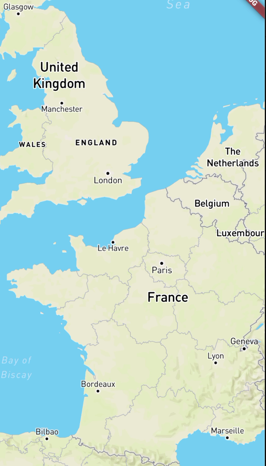 Change map language · Issue #959 · flutter-mapbox-gl/maps · GitHub