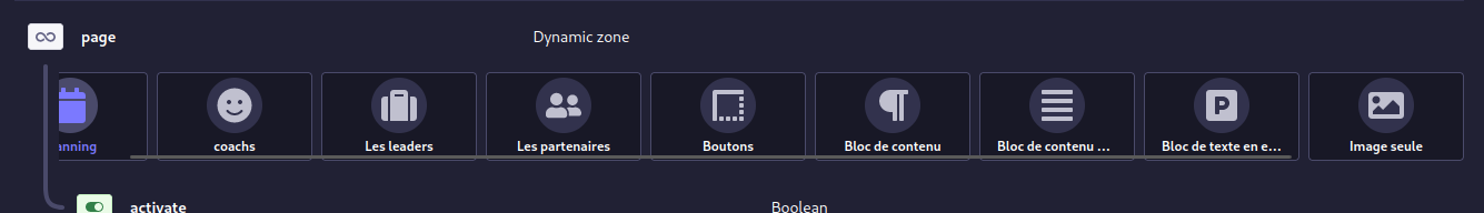 Dynamic zone empty after page reload or first load · Issue #14907 · strapi/strapi · GitHub