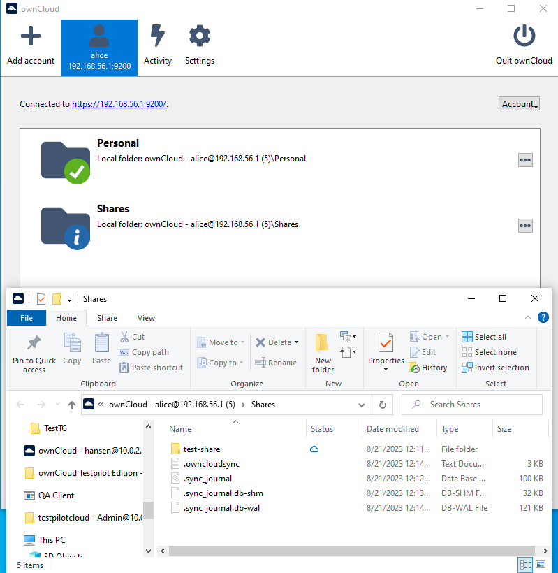 Two shares with the same name cause sync issue · Issue #7118 · owncloud/ocis · GitHub