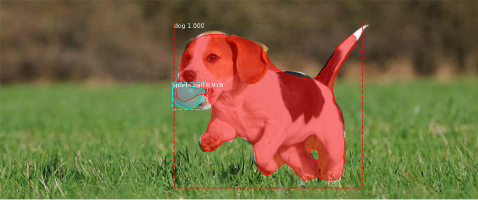 GitHub - KARTHIK-VEL/Mask-R-CNN-is-an-object-detection-model-based-on-CNN-on: Wildlife Animals ...
