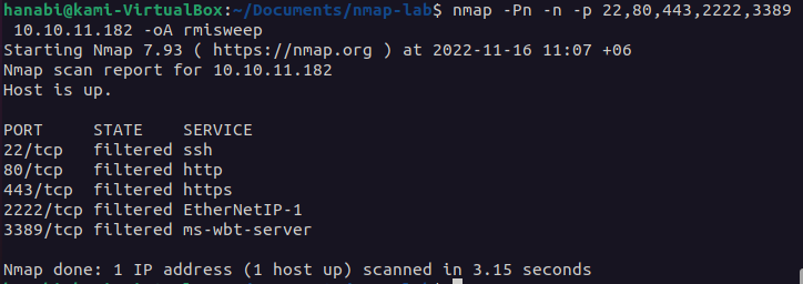 GitHub - hanabi-n/nmap-report
