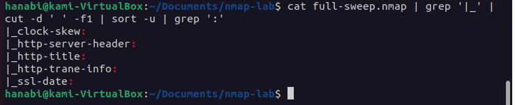 GitHub - hanabi-n/nmap-report