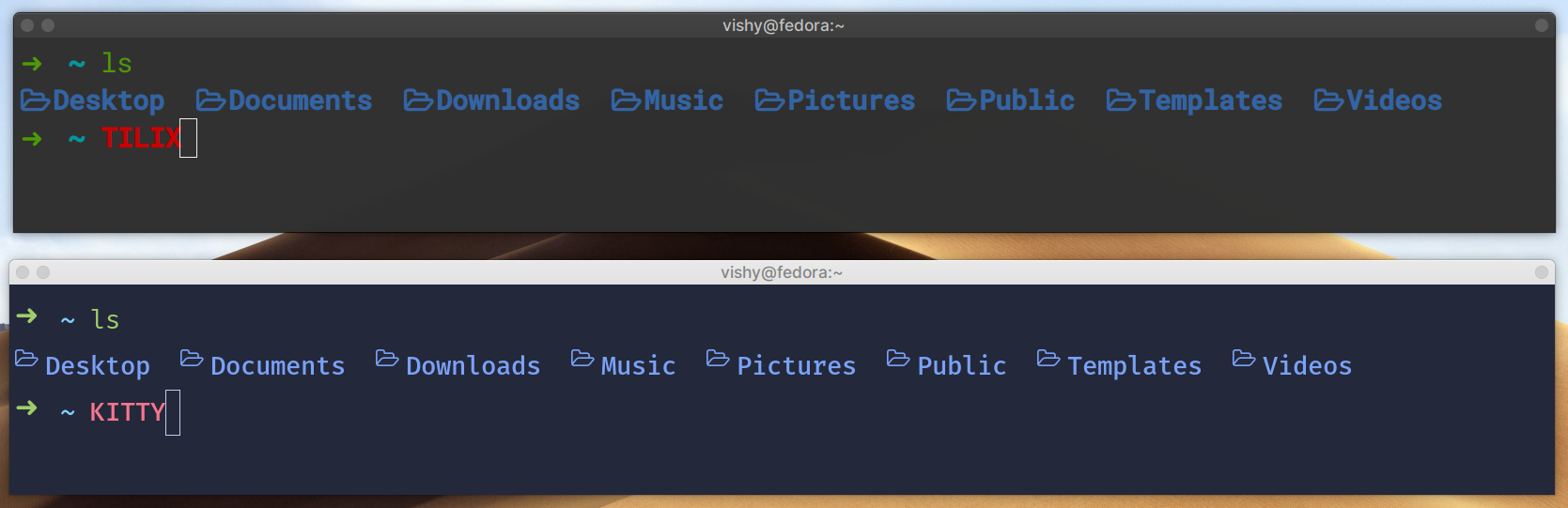 Issue with vertical alignment of icons and text in the terminal · Issue #4274 · kovidgoyal/kitty ...