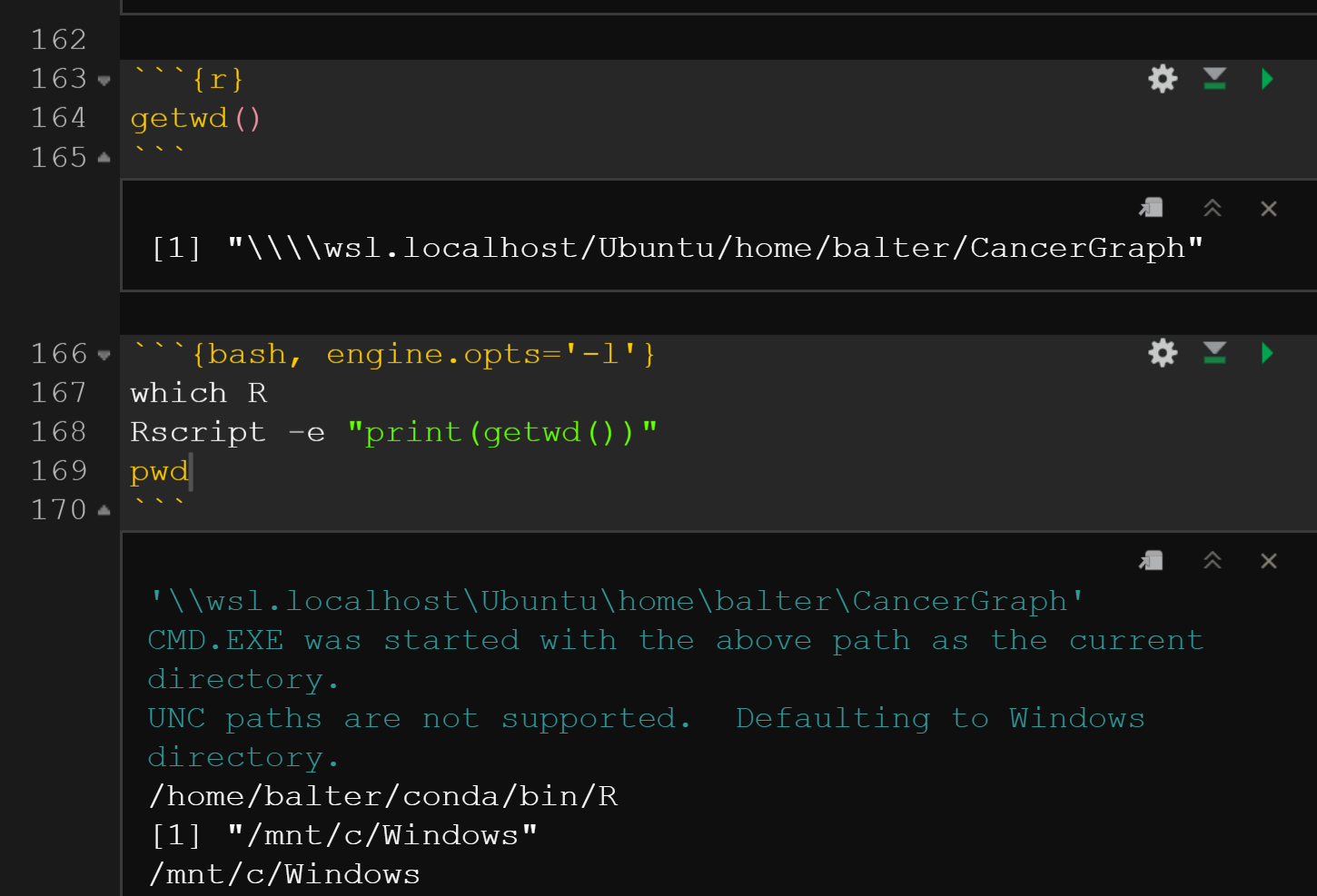 bash chunks in rmarkdown docs on Windows should use selected bash ...