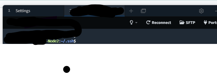 set sftp in the current shell directory · Issue #5291 · Eugeny/tabby · GitHub