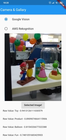 GitHub - JemisonVidal/Image-Recognition-with-Google-Vision-and-AWS-Flutter: Image knowing - Flutter