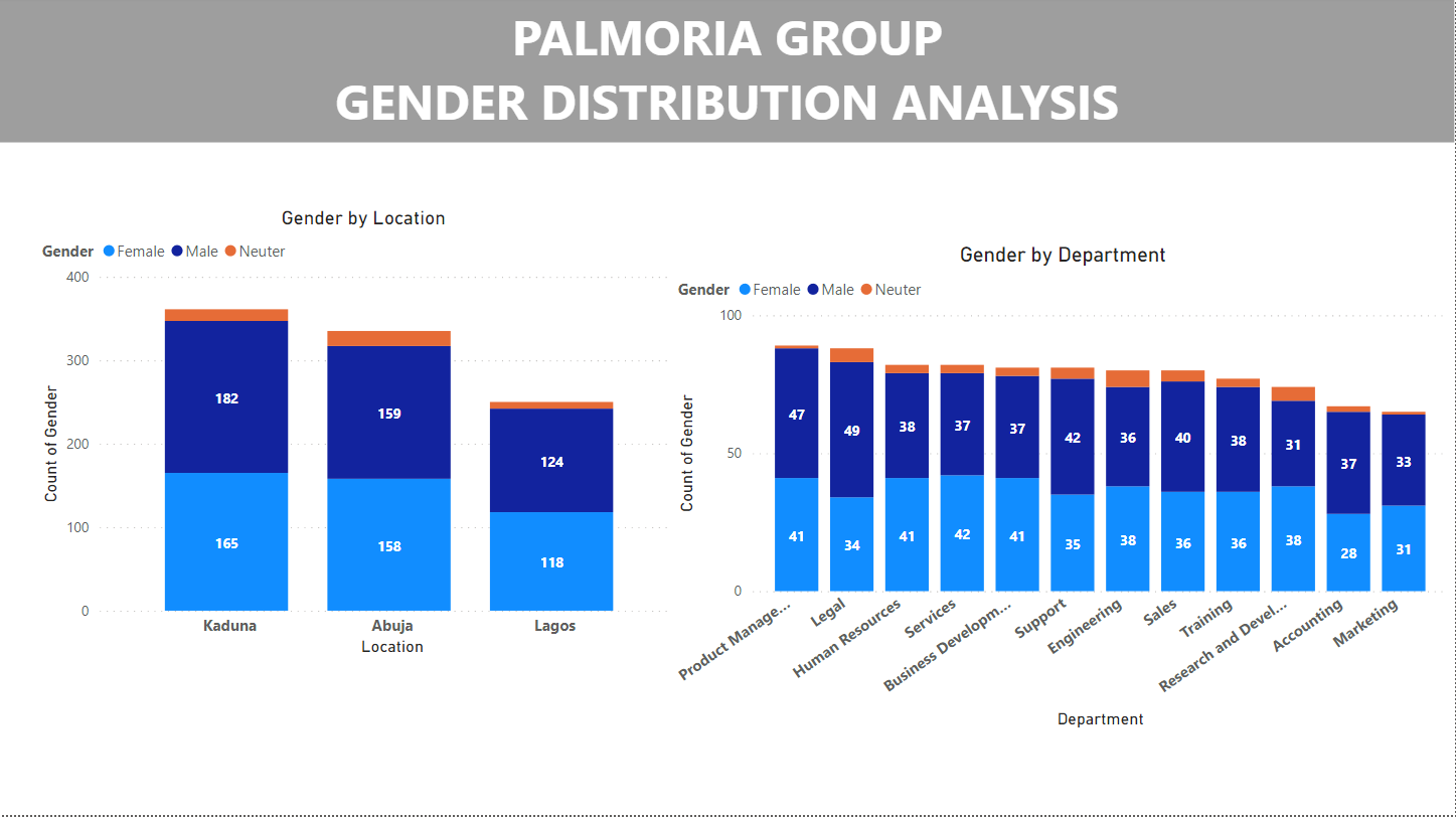 GitHub - BenOlaaa/Palmora-Group-Gender-Analysis-PowerBI: Palmora Gender ...