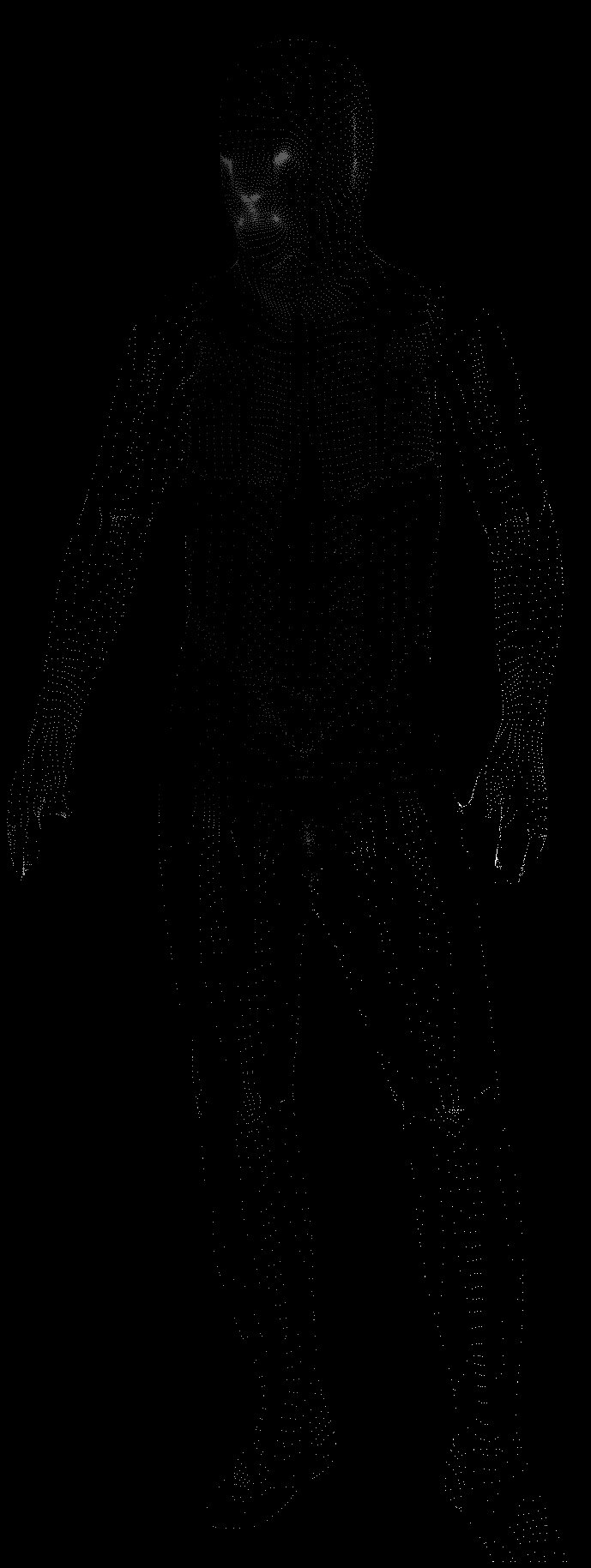 Interpolate UV coordinate of DensePose CSE · Issue #3840 · facebookresearch/detectron2 · GitHub