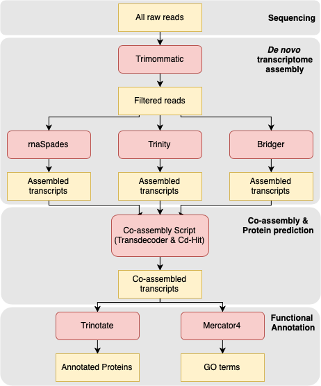 GutierrezLab/Pipelines/Transcriptome Co-assembly.md at master · ibioChile/GutierrezLab · GitHub
