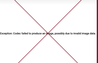 Image codec failed · Issue #137515 · flutter/flutter · GitHub