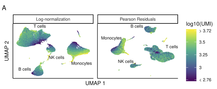 [dimensionality-reduction] Find a measure how much the result is confounded by size factor ...