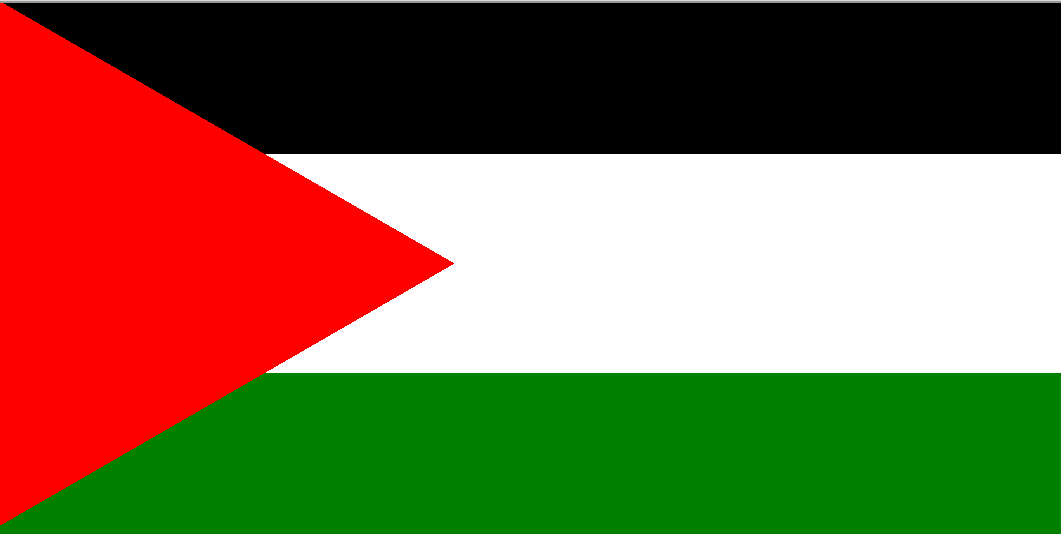 GitHub - MicrosoftClubPiloteAriana/palestinien-flag: Drawing palestinian flag with pyhton
