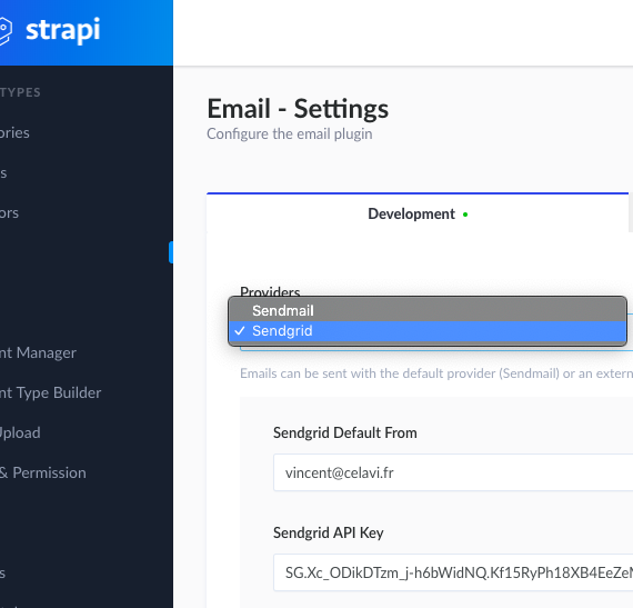 plugin page is not opening to setup Email providers · Issue #6527 · strapi/strapi · GitHub