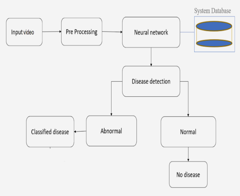 Github Ki566 Plant Disease Detection With Keras