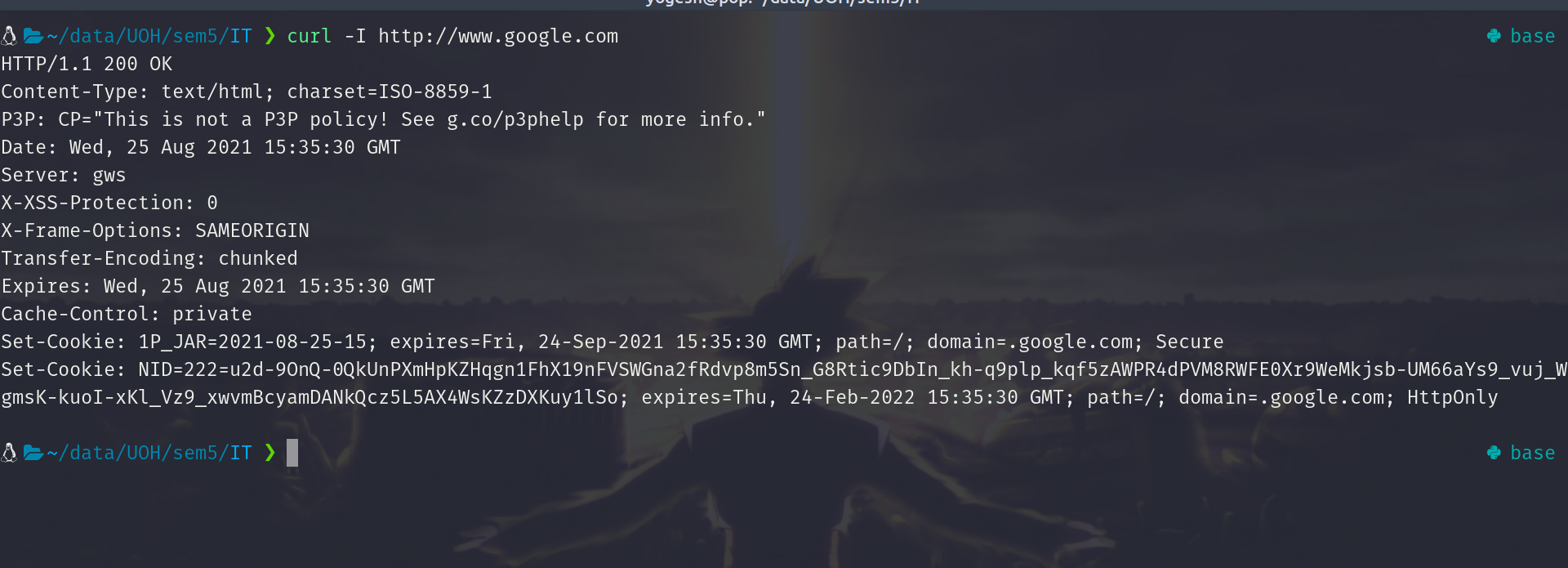 Curl To Returns 200 But Returns 307 On Browser · Curl Curl · Discussion 4936