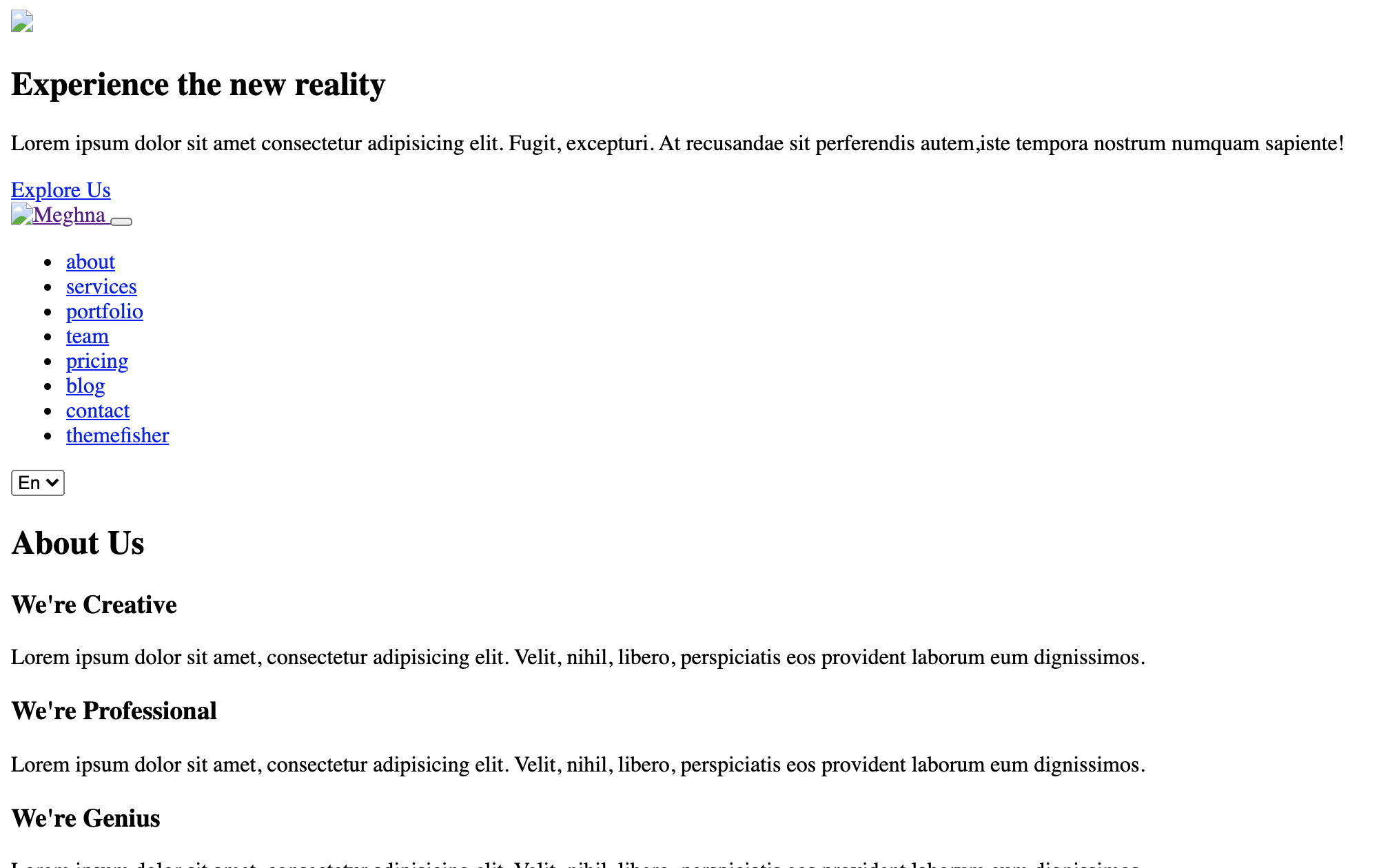 missing menu items in the example site · Issue #175 · themefisher/meghna-hugo · GitHub