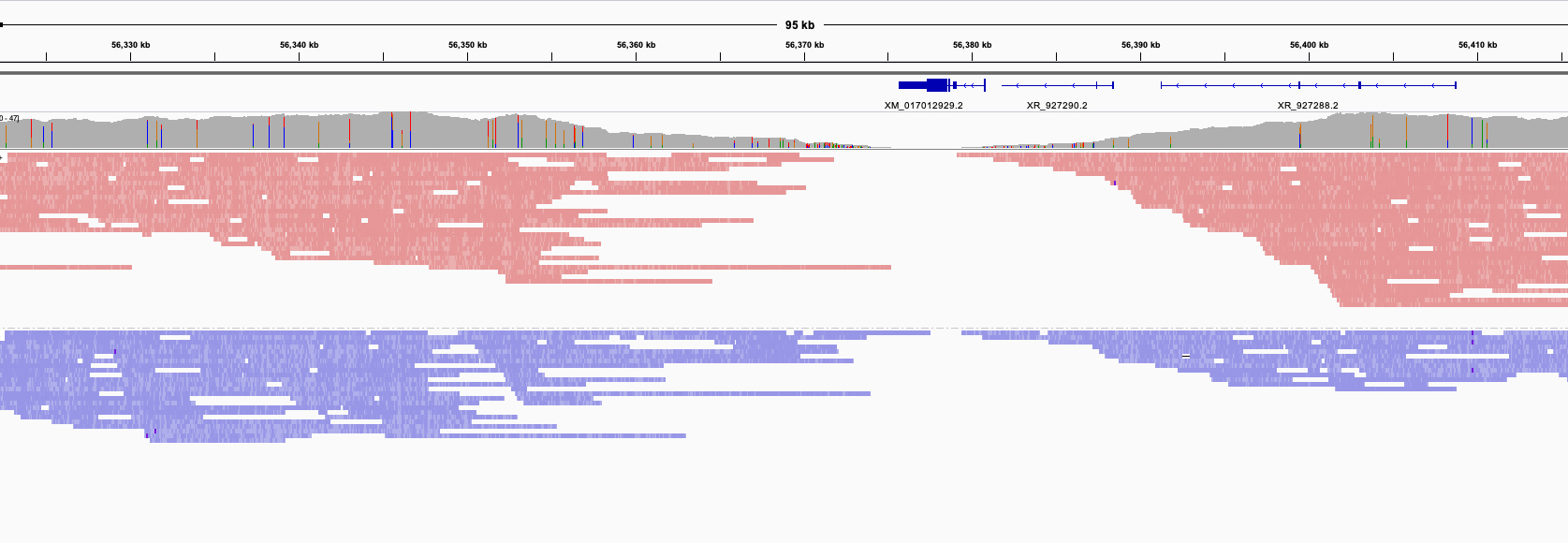 Discrepancy between mosdepth coverage and bam profiles on IGV · Issue #164 · brentp/mosdepth ...