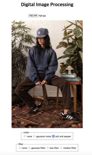 GitHub - seyoung8239/digital-image-processor: 웹 기반의 이미지 노이즈 생성 및 convolution 연산 기반의 필터 기능을 가진 시뮬레이터