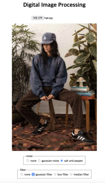 GitHub - seyoung8239/digital-image-processor: 웹 기반의 이미지 노이즈 생성 및 convolution 연산 기반의 필터 기능을 가진 시뮬레이터