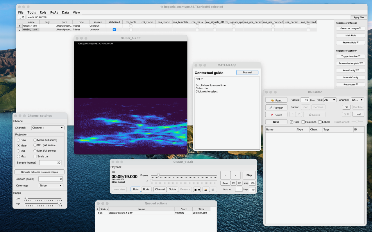 Wrong display or loading different x and y resolution. · Issue #10 · GliaLab/Begonia · GitHub