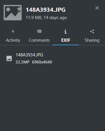 No EXIF for Canon R cameras · Issue #367 · pulsejet/memories · GitHub