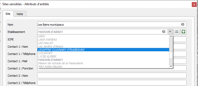 Incomplete dropdown list (widget type : relation reference) · Issue #51524 · qgis/QGIS · GitHub