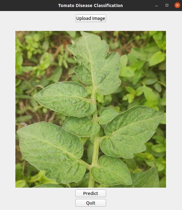 GitHub - DoublePK/Tomato-Disease-Classification: Identifying healthy tomatoes and 9 different ...