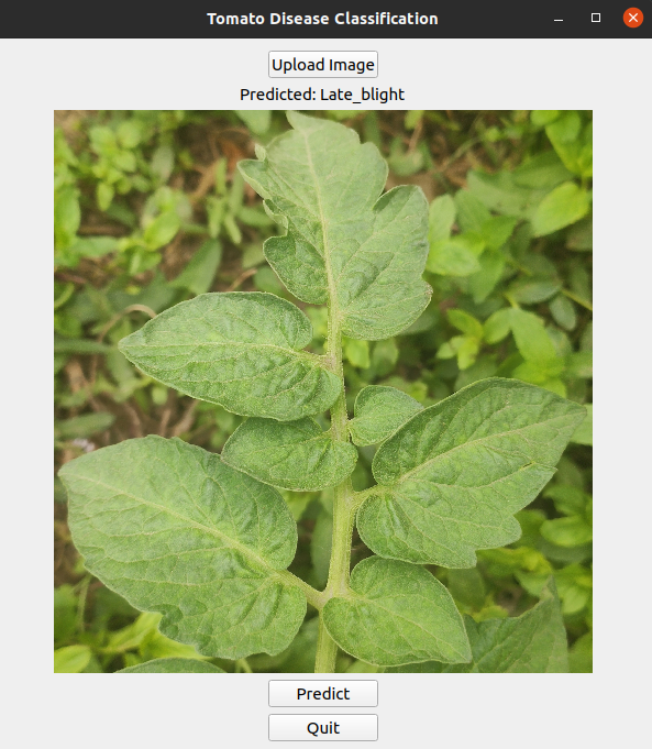 GitHub - KananMahammadli/Tomato-Disease-Classification: Identifying healthy tomatoes and 9 ...