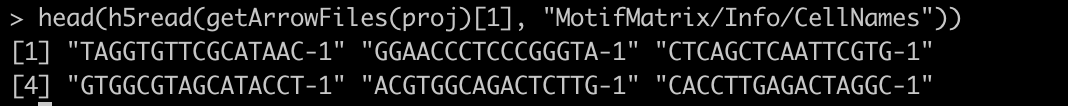 Error in subsetting in archr project · Issue #212 · GreenleafLab/ArchR · GitHub