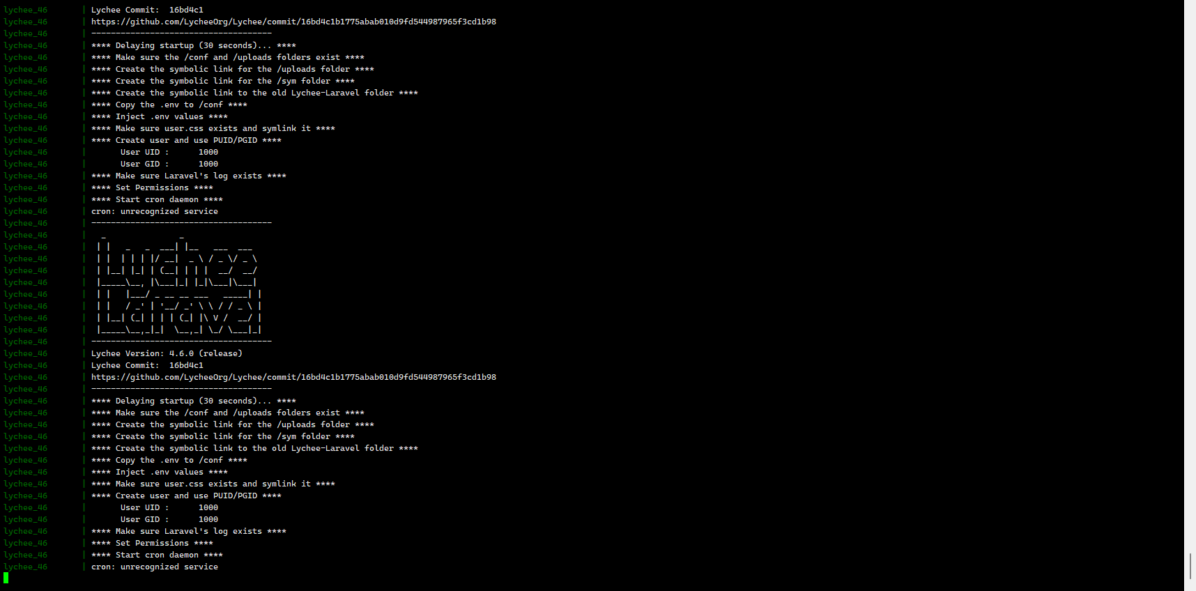 Docker container restarts indefinitely · Issue #129 · LycheeOrg/Lychee-Docker · GitHub