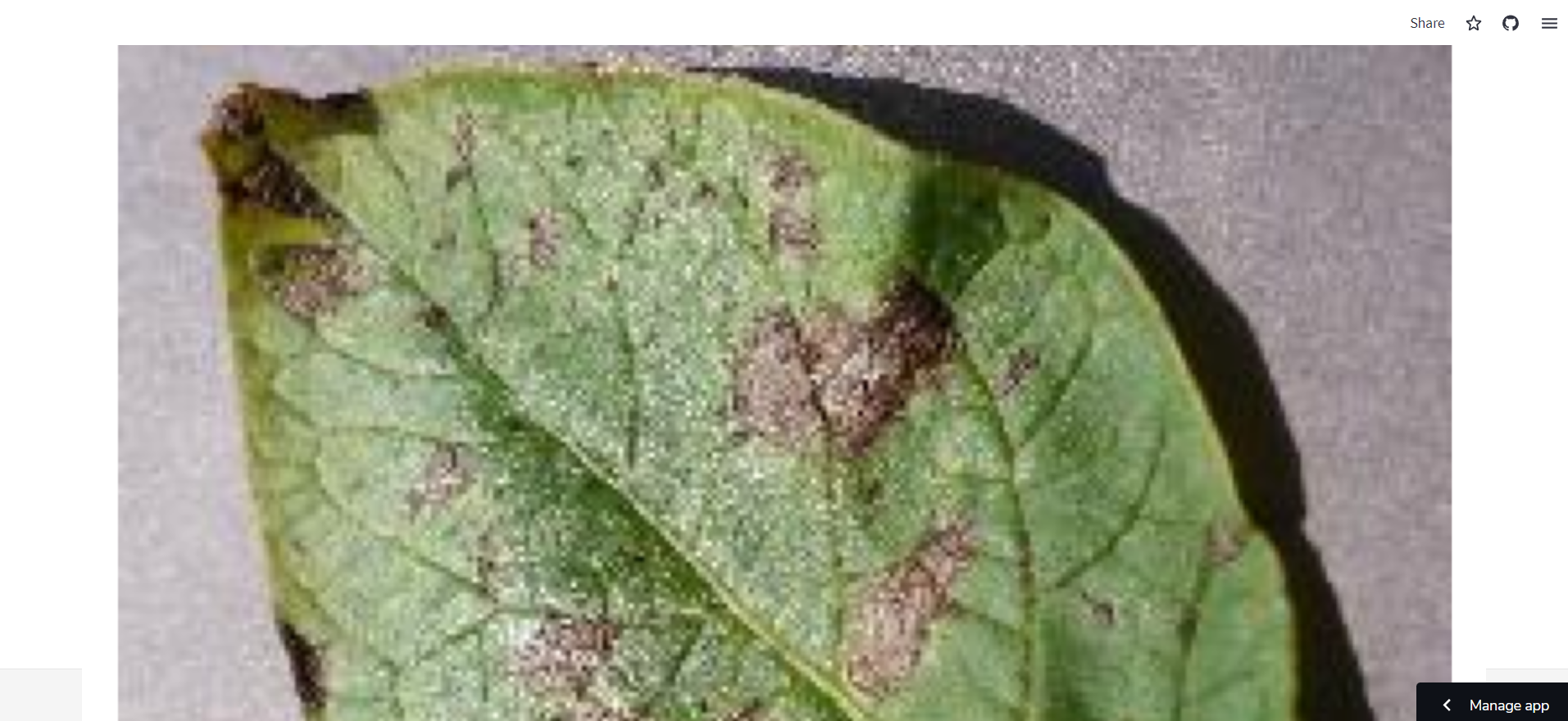 Github Dhaval Mainkar Potato Leaf Disease Classification In This Project The User Or The