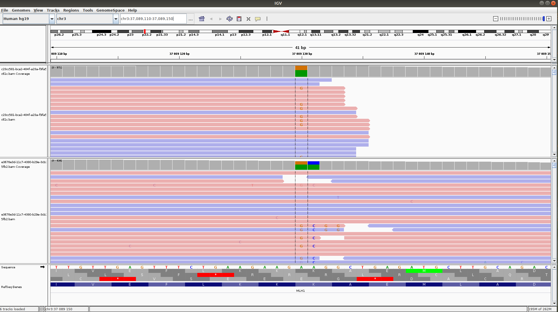 Freebayes regroup MNV of the son and the snp in the father into one single line in the vcf ...