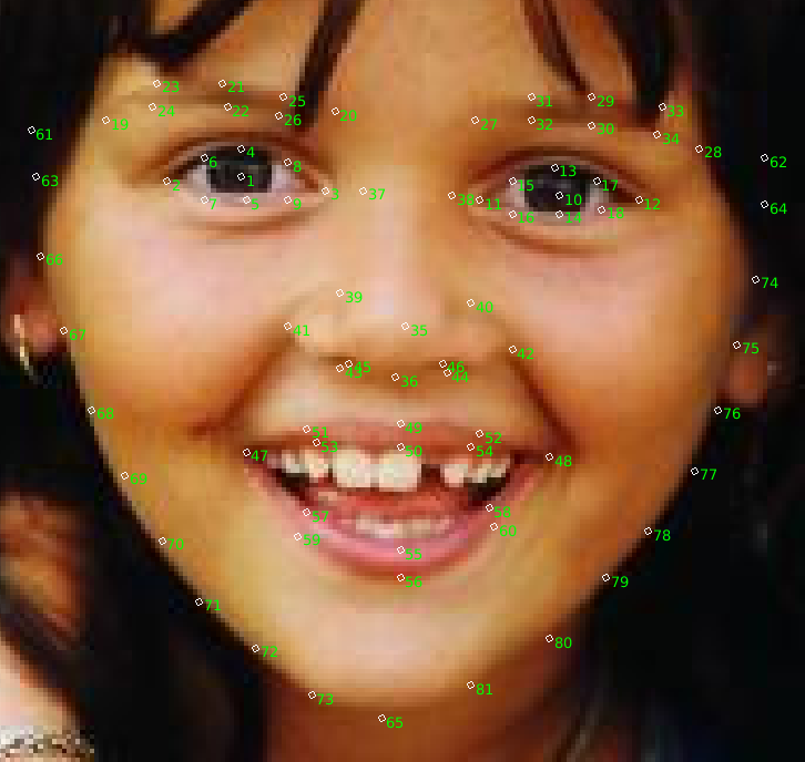 人脸关键点问题 · Issue #32 · seetafaceengine/SeetaFace2 · GitHub