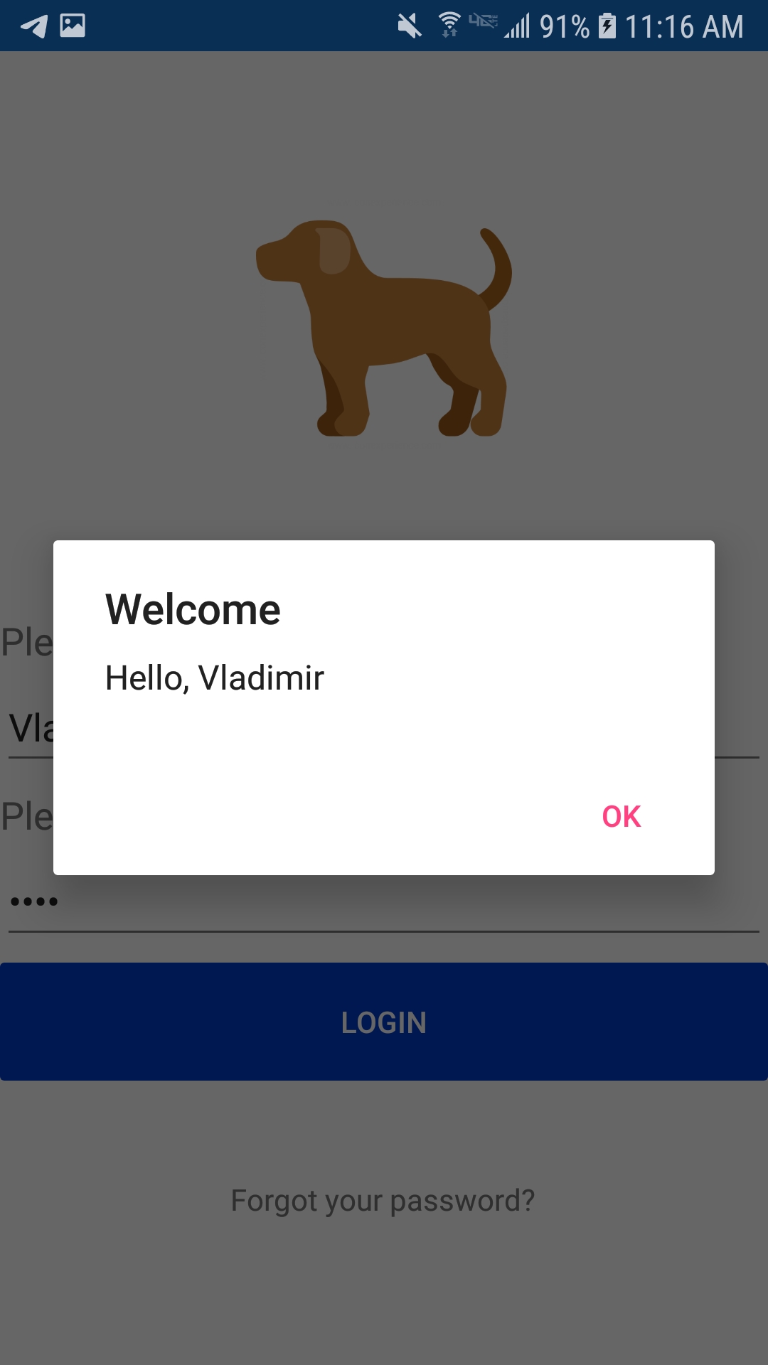 GitHub - elvladi15/Practice1-LoginPage: Practice 1: Simple login page using Xamarin Forms.