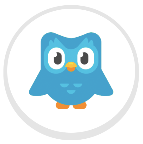 GitHub - chase-manning/duolingo-spaced-repetition: A Chrome Browser Extension to Add Spaced ...