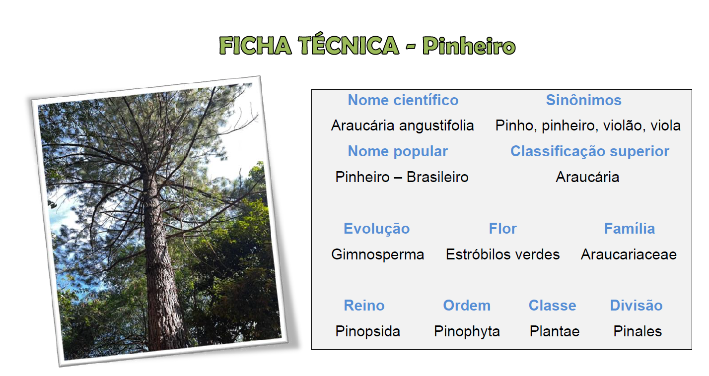 GitHub - oGaabs/ProjetoQrcode-Pinheiro: Projeto Escolar feito para ... GitHub - oGaabs/ProjetoQrcode-Pinheiro: Projeto Escolar feito para ...