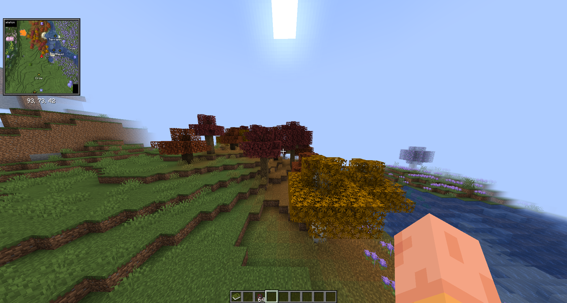 [Bug]: entities and blocks are shown RANDOMIZED on clientside · Issue ...