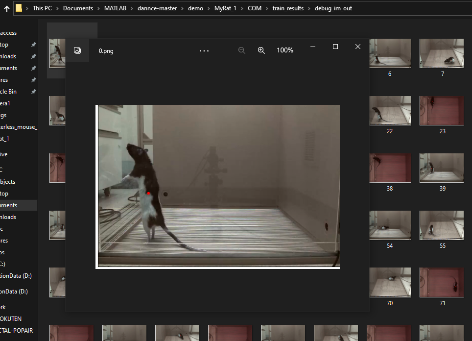 Zero training/validation errors but completely wrong in labeled images. · Issue #130 · spoonsso ...