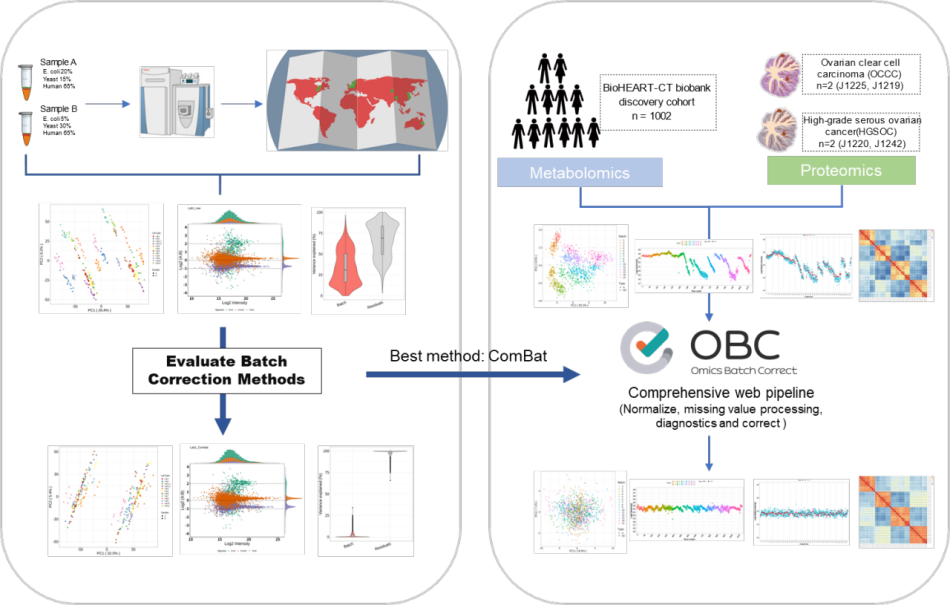 GitHub - Jude-Zheng/OmicsBatchCorrect
