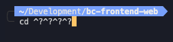 Typing backspace in instant prompt gives strange code "^?" · Issue ...