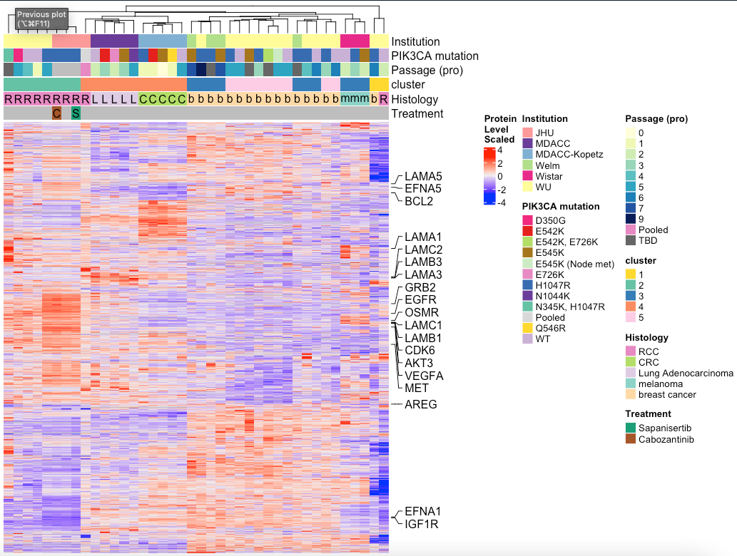 Heatmap and UMAP - simoncmo/pik3ca_proteomics GitHub Wiki