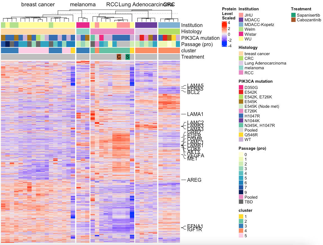 Heatmap and UMAP - simoncmo/pik3ca_proteomics GitHub Wiki