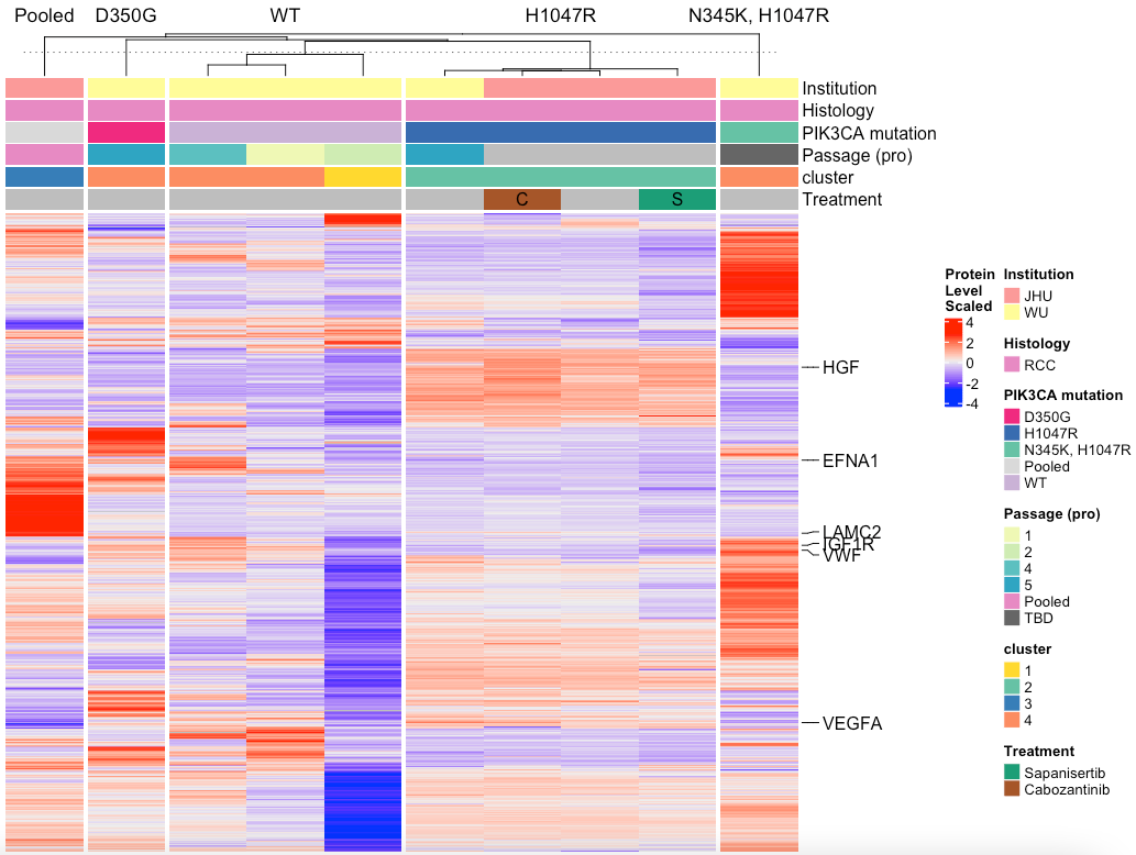 Heatmap and UMAP - simoncmo/pik3ca_proteomics GitHub Wiki