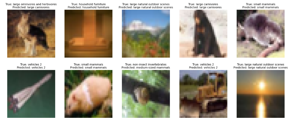 GitHub - MohitWarrier/Image-Classification-on-CIFAR-100: Comparing some basic neural networks on ...