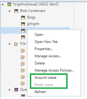 No 'Acquire Lease' & 'Break Lease' actions for one new created ADLS Gen2 blob container · Issue ...