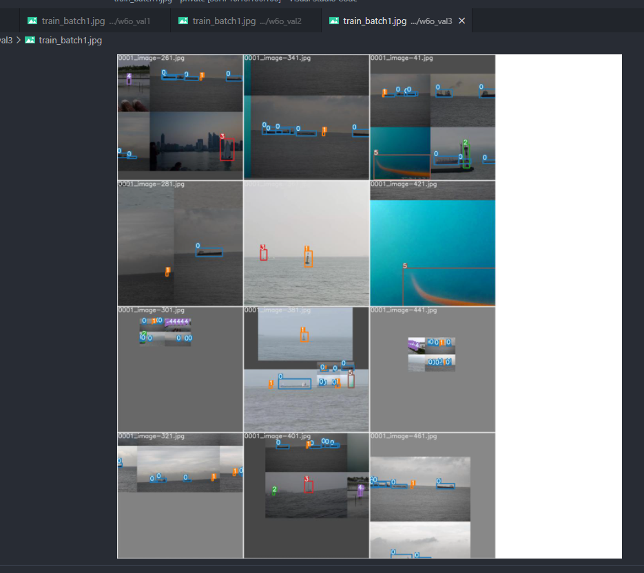About the visualization images of dataset are same in different ...