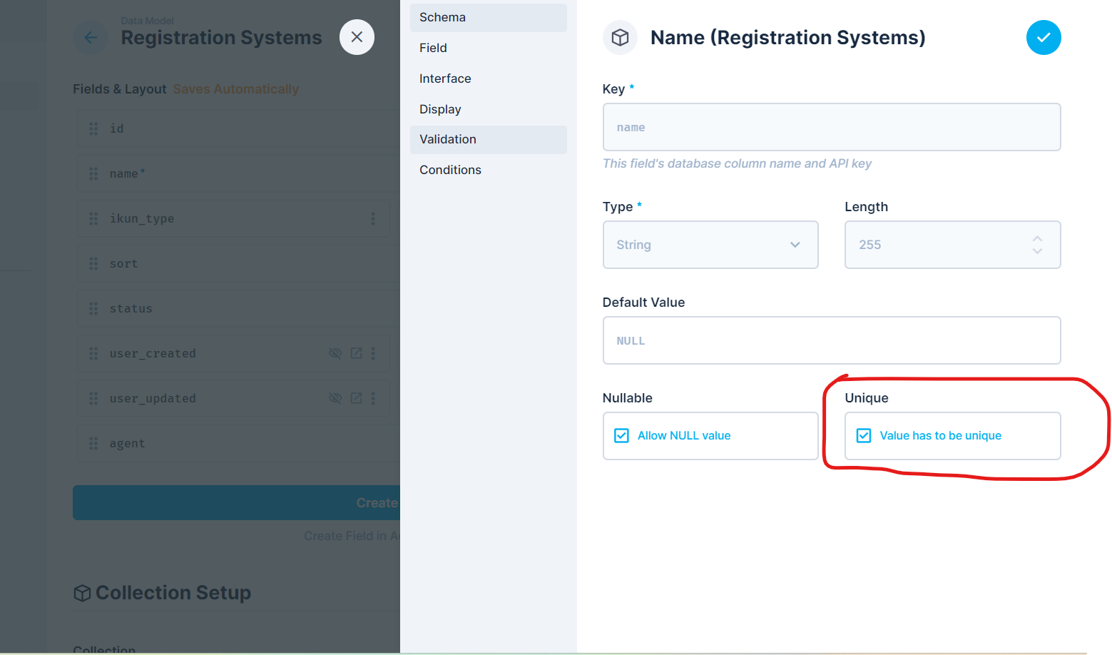 Wrong Validation Message When Using Custom Validation And Unique Field Constraint · Issue 19669