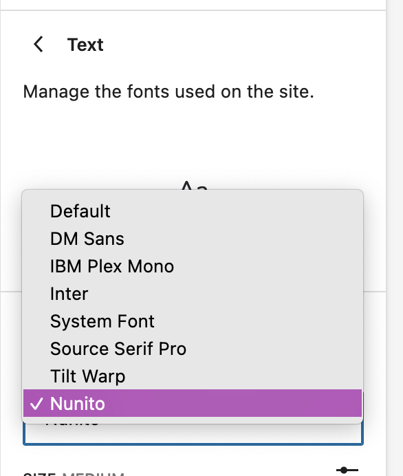 Custom fonts are not loaded correctly in block themes · Issue #1075 ...