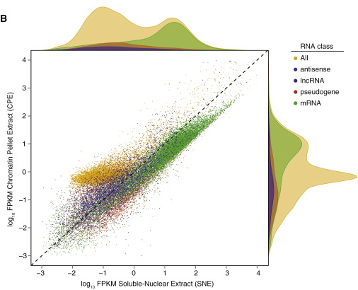 Is it possible to change color palette for ggscatterstats? · Issue #59 · IndrajeetPatil ...