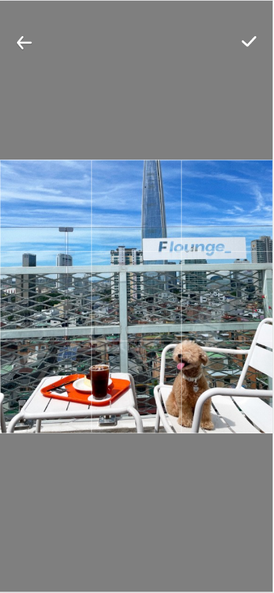 GitHub - Team-Delgo/DelgoMap